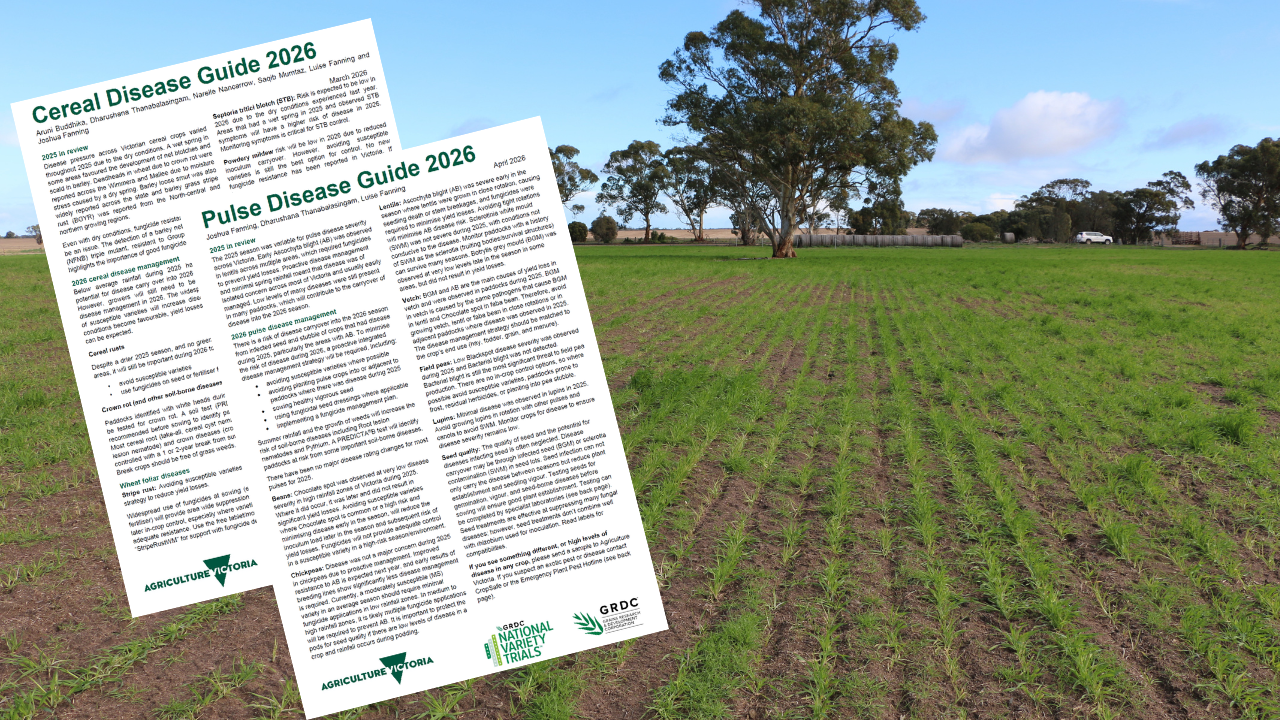 Endemic Pulse Diseases - Field Crop Diseases Victoria