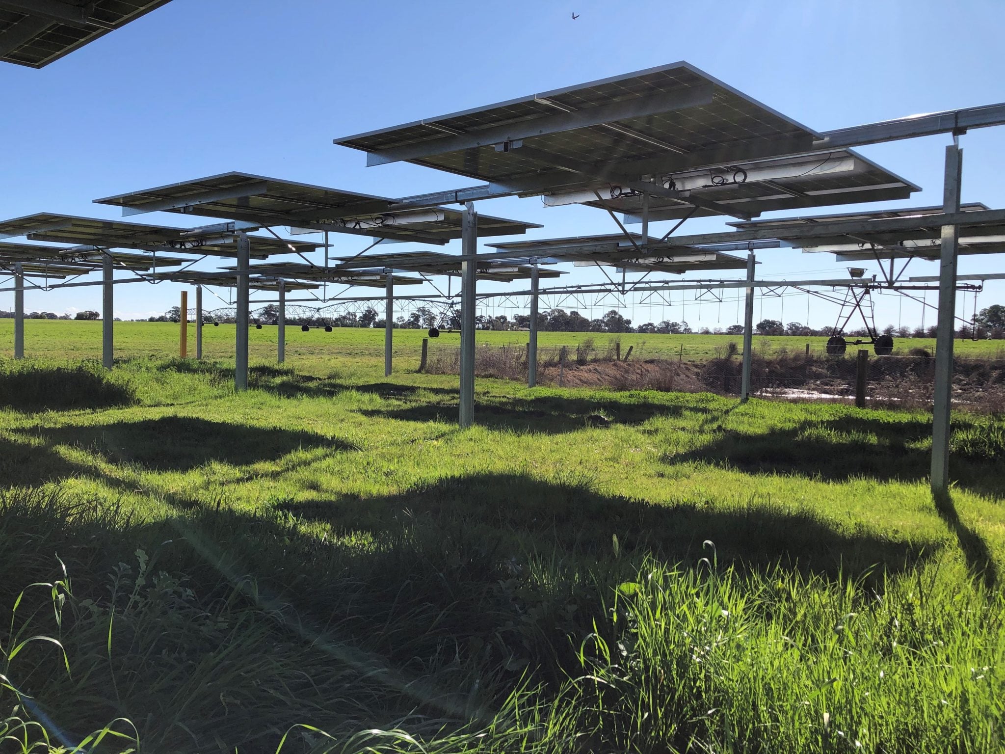 Irrigation powered by solar pays off - Energy Smart Farming % | Energy ...