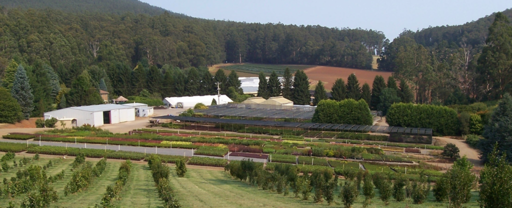 Nursery a wrap for igloo insulation - Energy Smart Farming | Energy ...