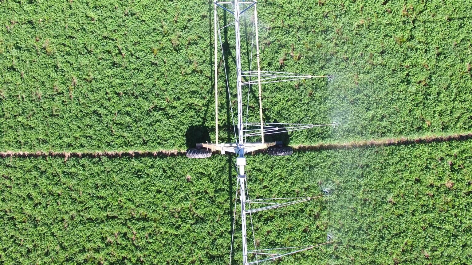 Irrigating Agriculture | Providing recent, relevant and accurate information on irrigating ...