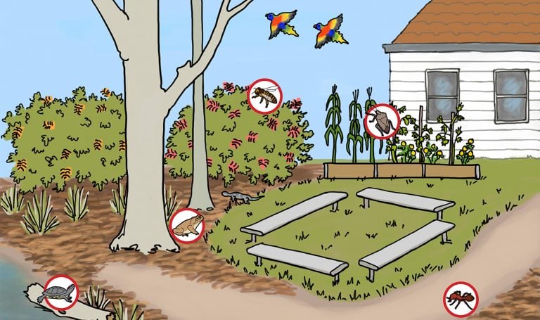 The 'Bugs are out' - A surveillance activity for schools - Peri-urban ...