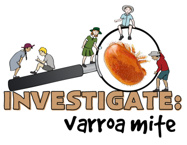 Investigate: varroa mite - Activity for schools - Peri-urban ...