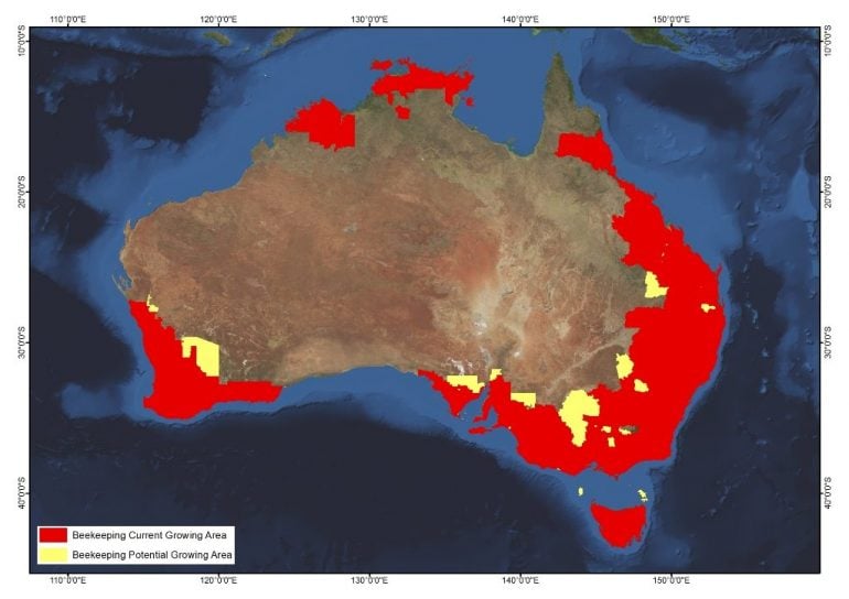670,000+ registered honey bee hives in Australia - Professional ...