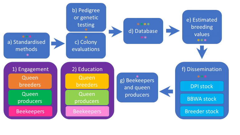 Plan Bee National Honey Bee Genetic Improvement Program - Professional ...