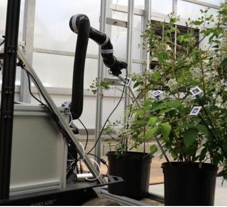 Are robotic bees the future … not for now - Professional Beekeepers ...