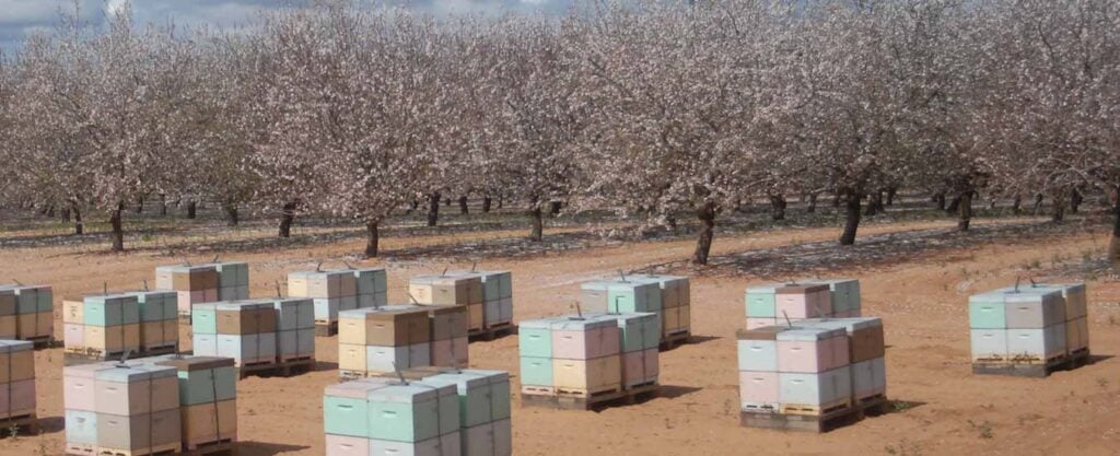 Monitoring hives for better pollination: how it works - Professional ...