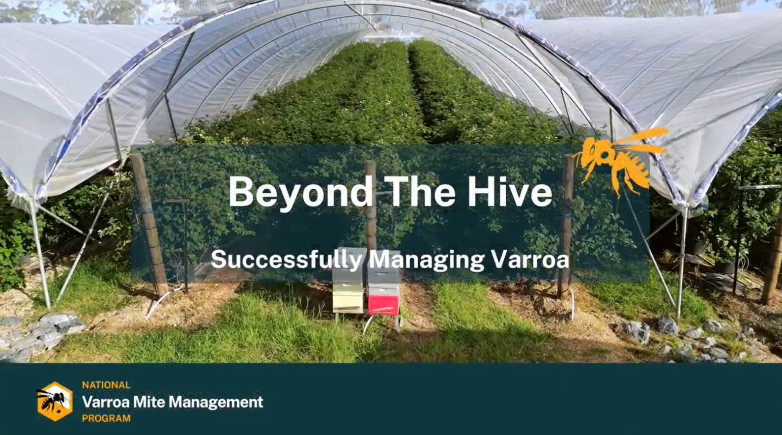 Real Beekeeper Stories: Varroa Mite Case Studies - Professional Beekeepers | Professional Beekeepers