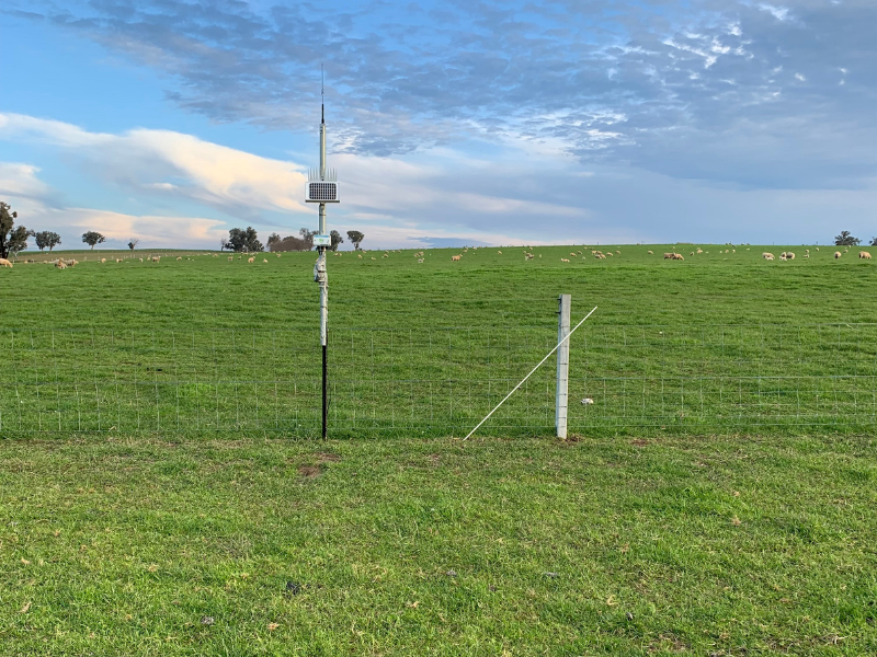 Greta (annual pasture) - Soil Moisture Monitoring | Soil Moisture ...