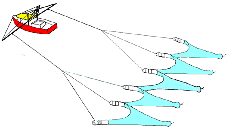 Latest developments in multi-rig prawn trawl: A five-rig system - Trawl ...