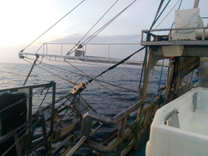 Latest developments in multi-rig prawn trawl: A five-rig system - Trawl ...